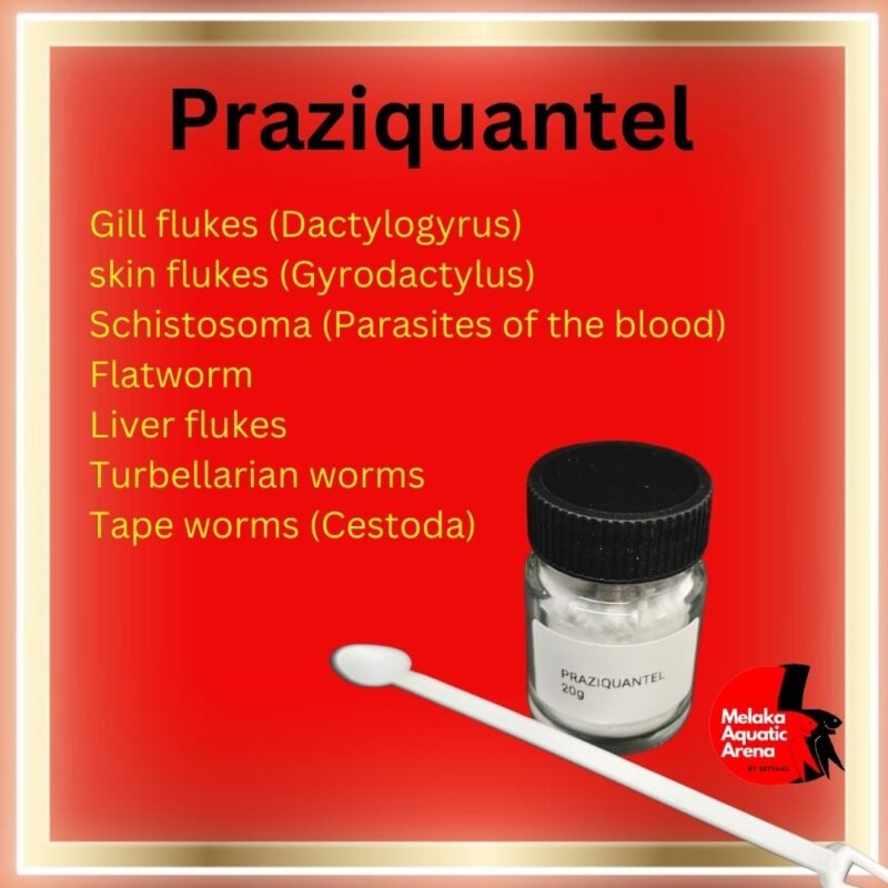 Praziquantel for fish - Ultimate Parasite Solution